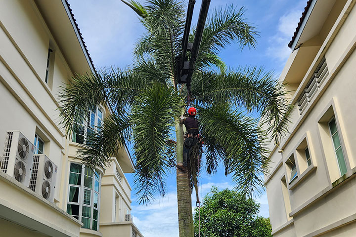 TreeTech General Contractors