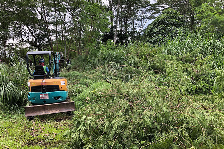 TreeTech General Contractors