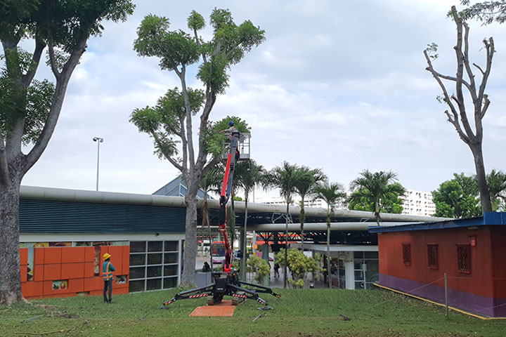 TreeTech General Contractors