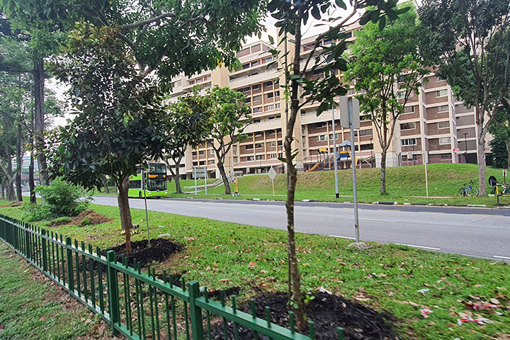 TreeTech General Contractors