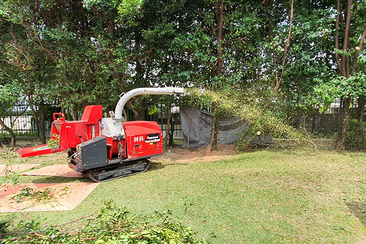 TreeTech General Contractors