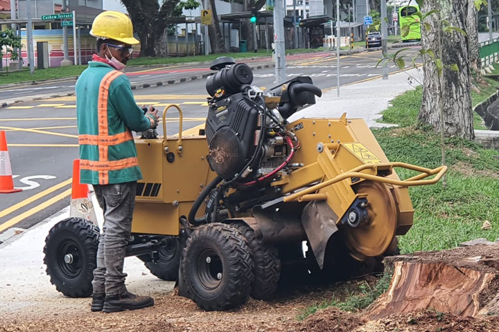 TreeTech General Contractors